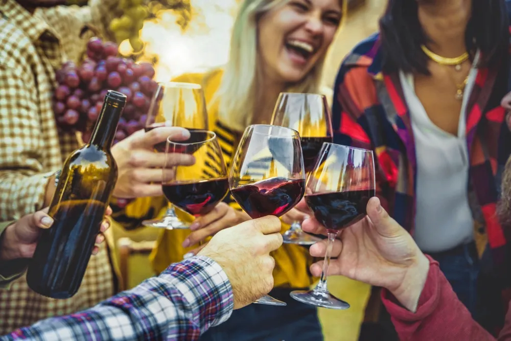 Best Italian Red Wines to Try This Fall & Vino Novello