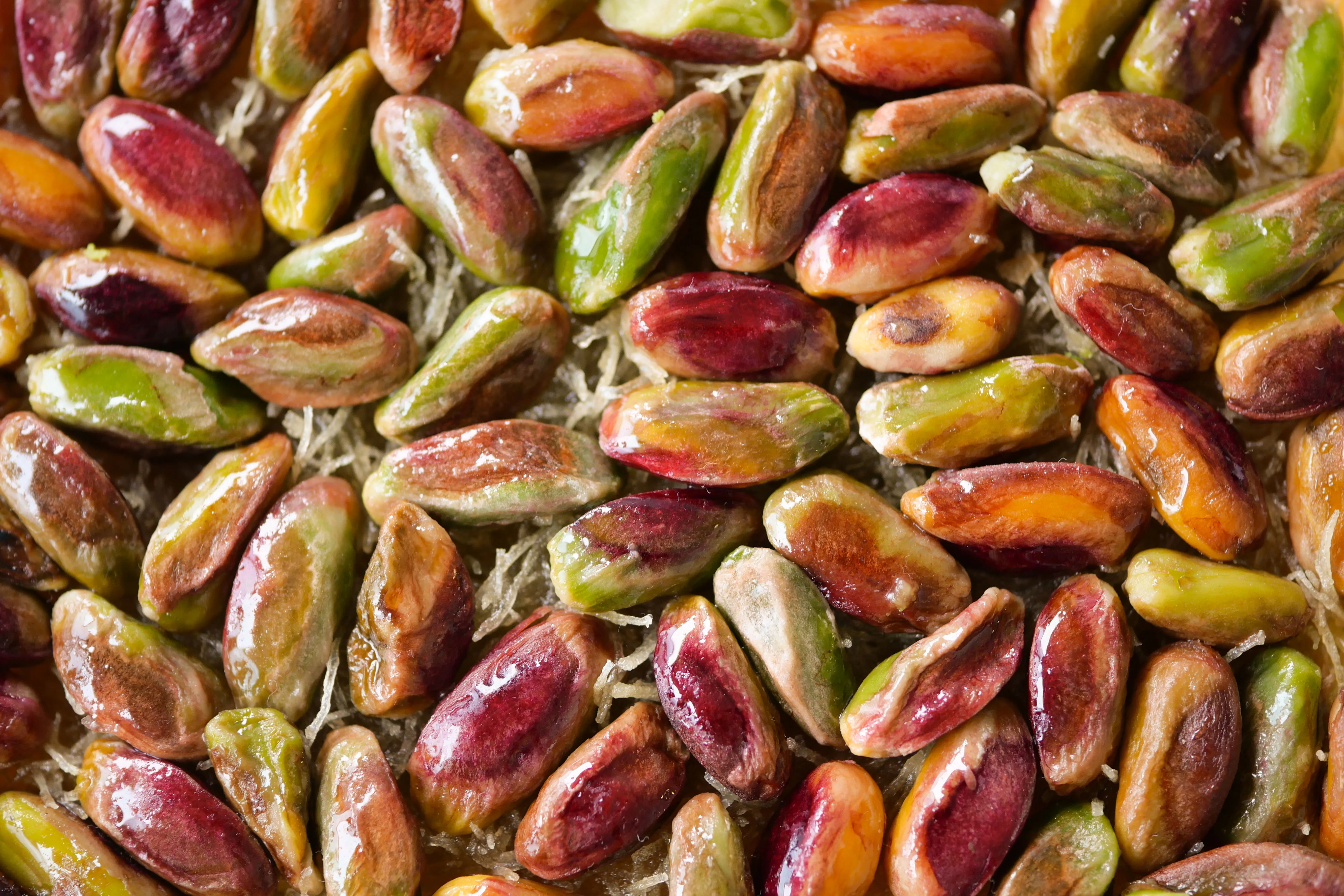 Italian Sagras: what are they and why you should go