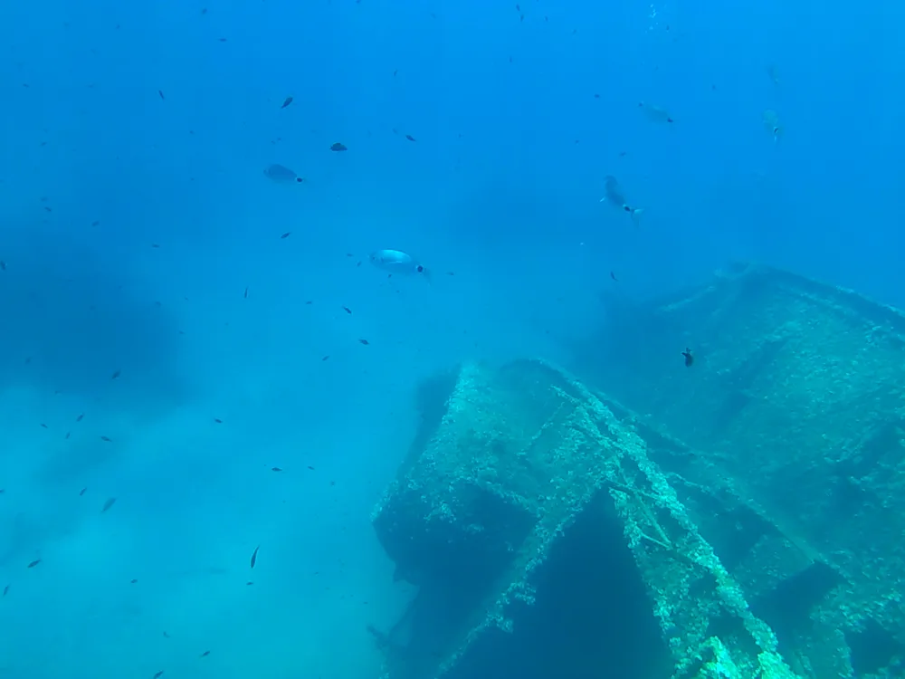 The Best Diving Experiences in Italy