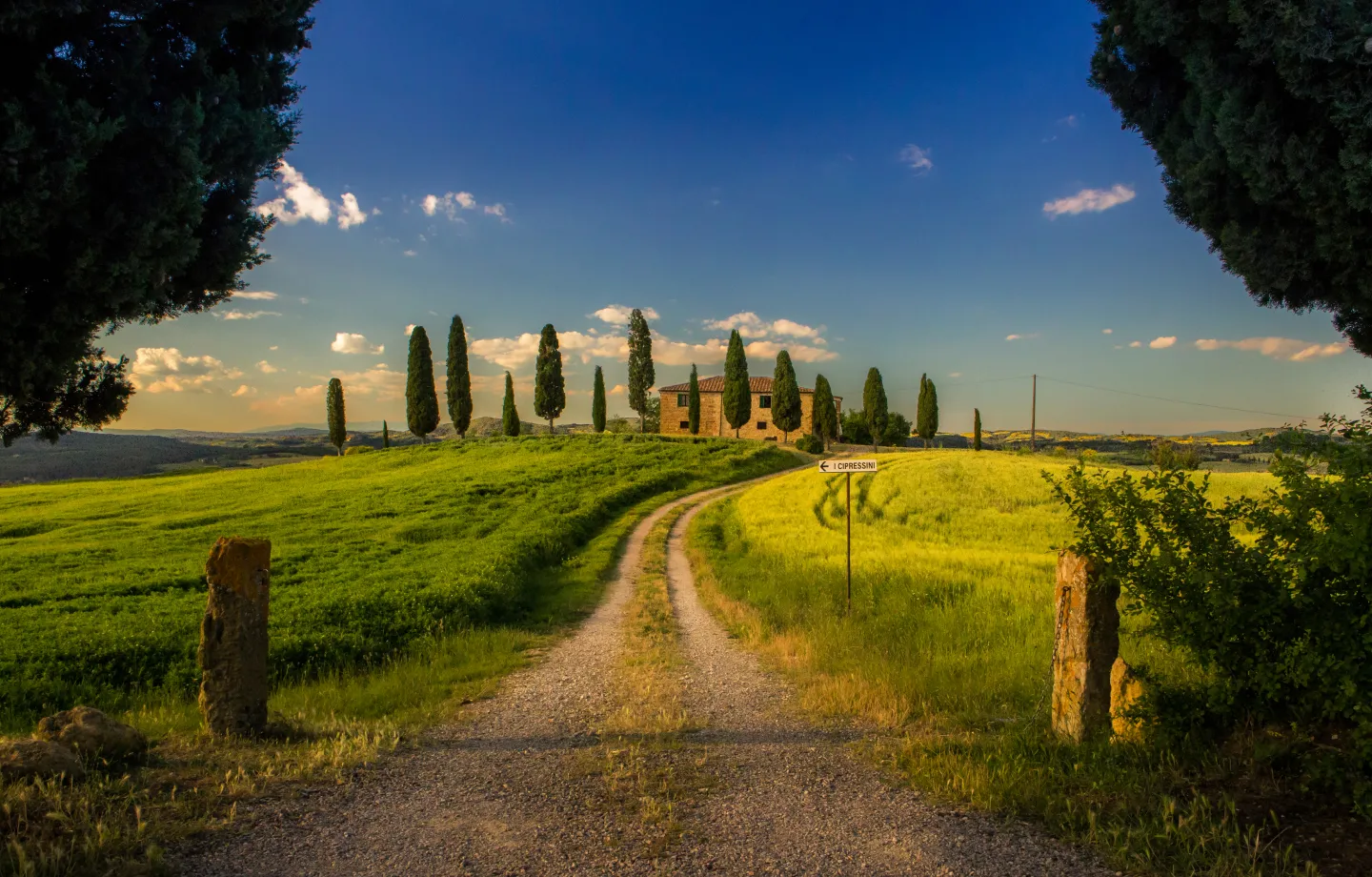 Tuscany Tour: a Cultural Journey from Florence to Pisa | PlayItaly
